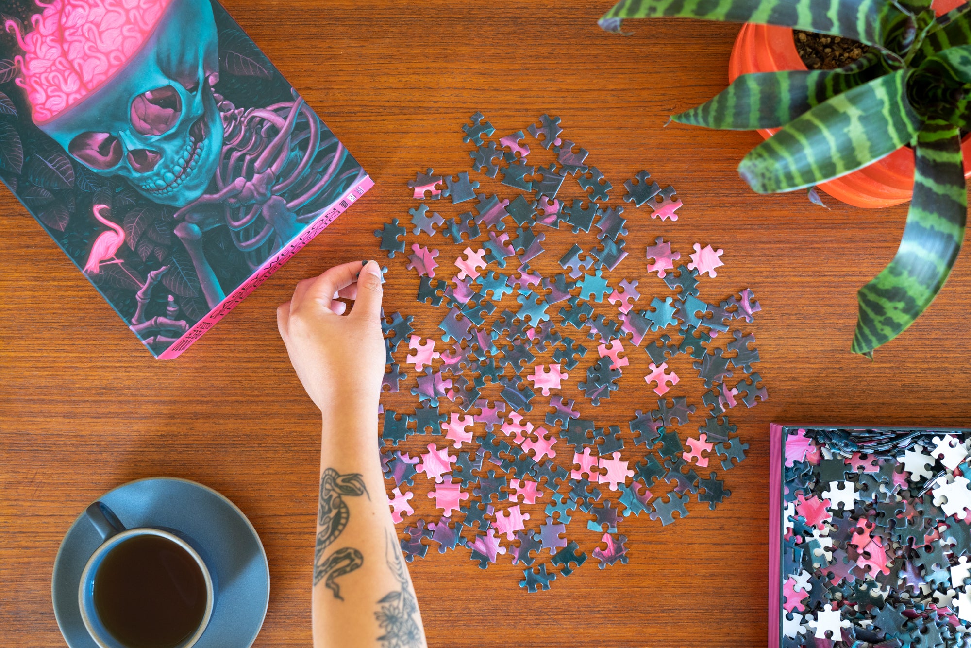 Collectibles – RECESS